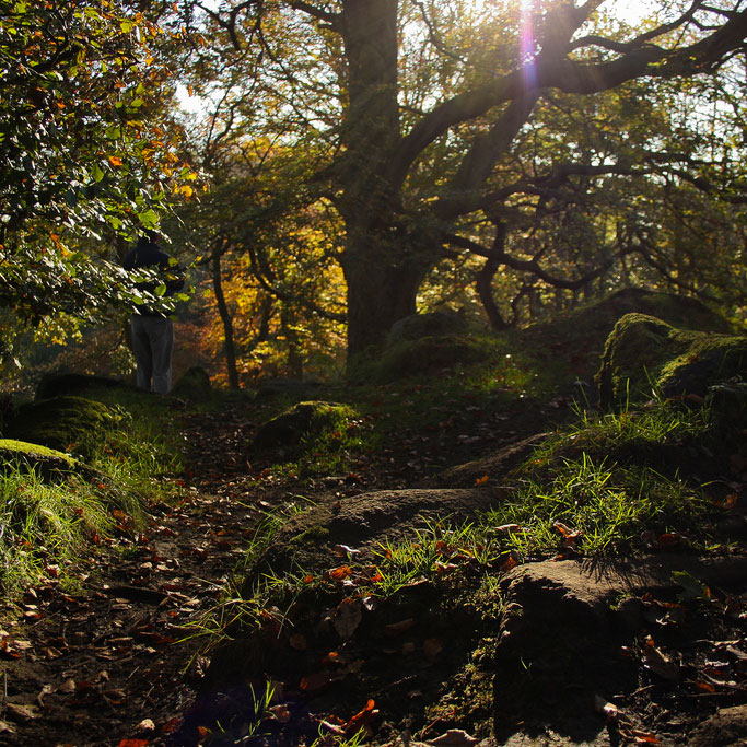 nature – Buddhafield North